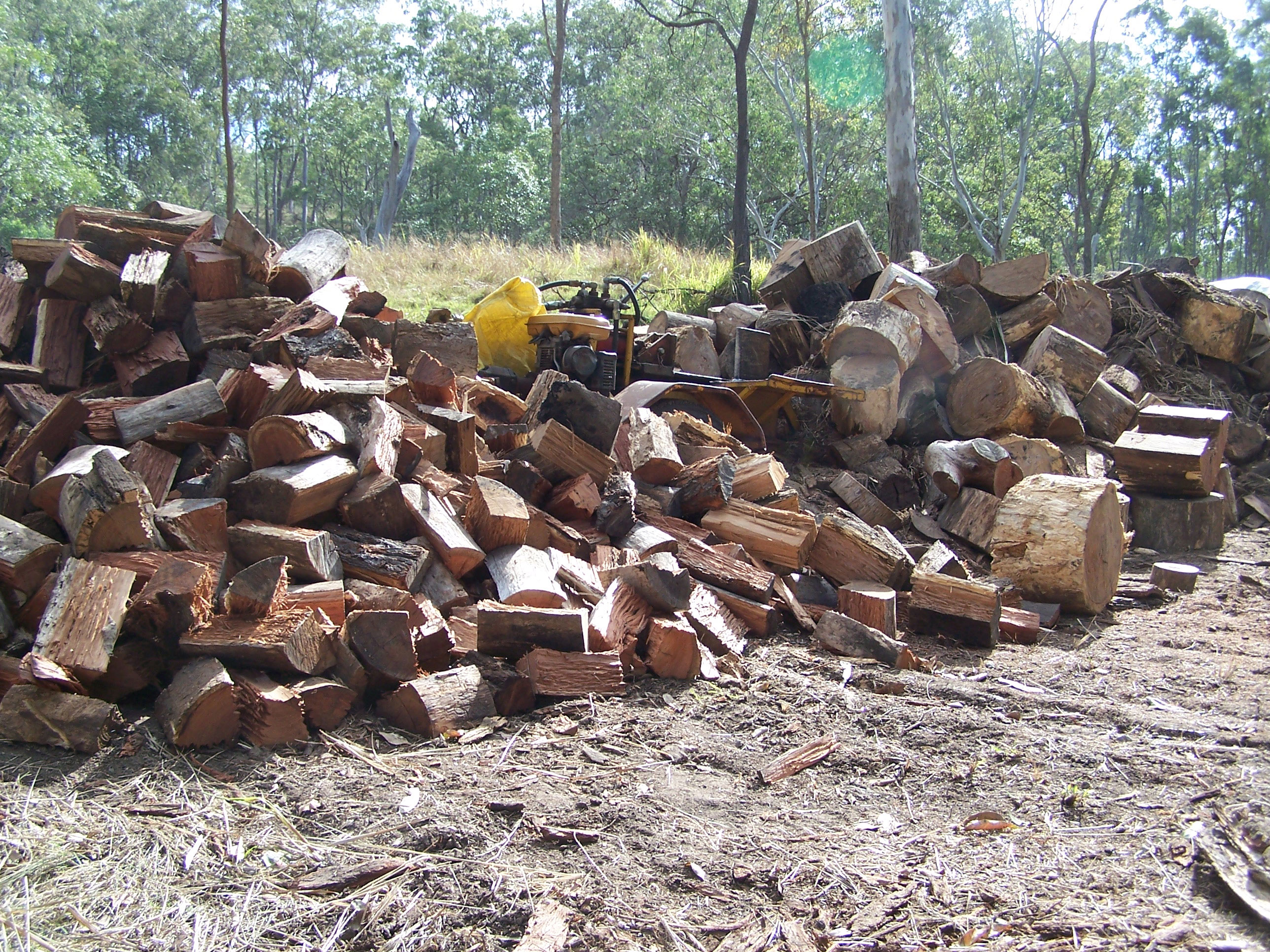 Choosing the right firewood this winter | Australian Tree Services